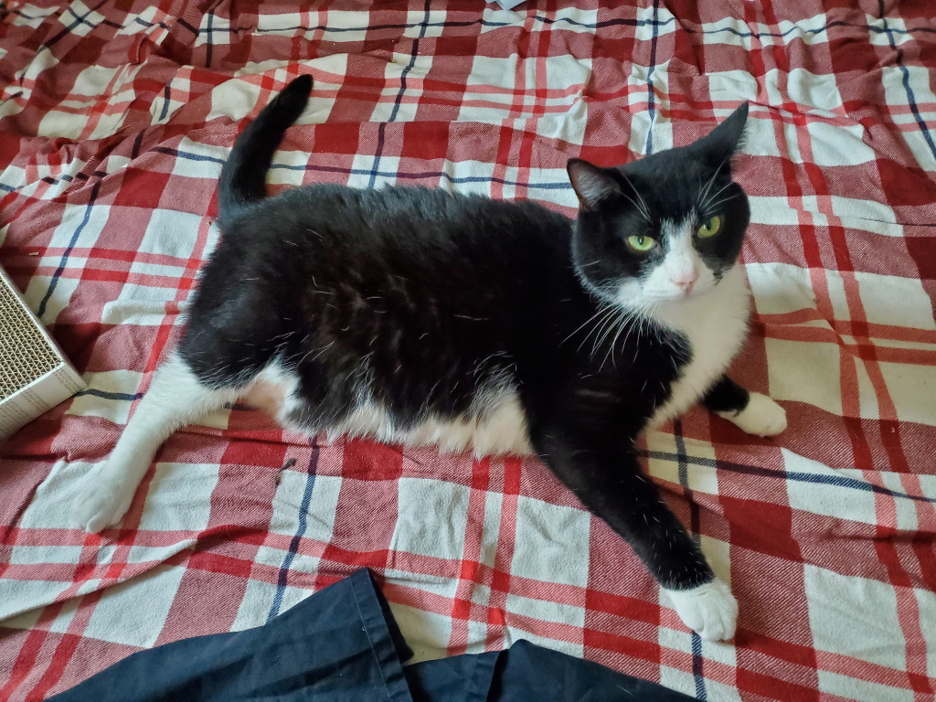 Hamlet | City of Bloomington, Indiana